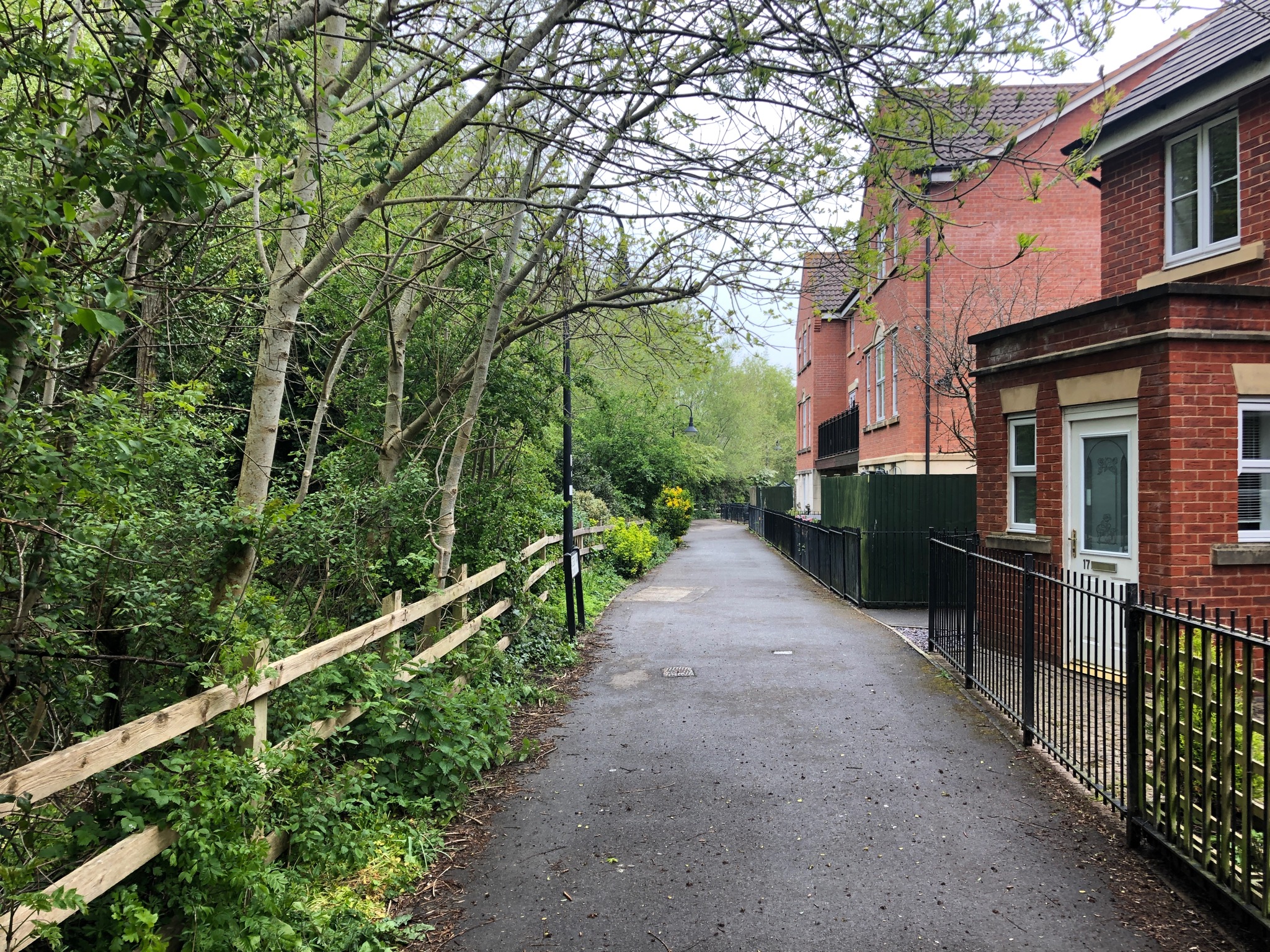 Writing, writing, writing - Weeknote #113 – 30th April 2021 - eLearning Stuff